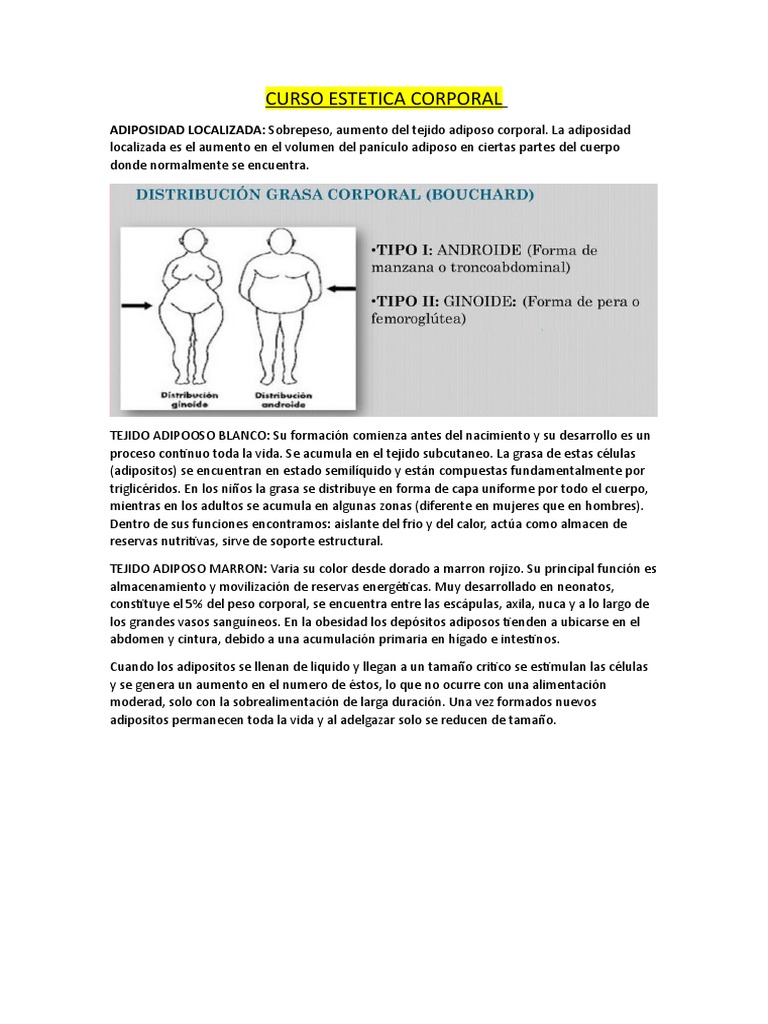 Curso Estetica Corporal: ADIPOSIDAD LOCALIZADA: Sobrepeso, Aumento Del Tejido Adiposo Corporal ...
