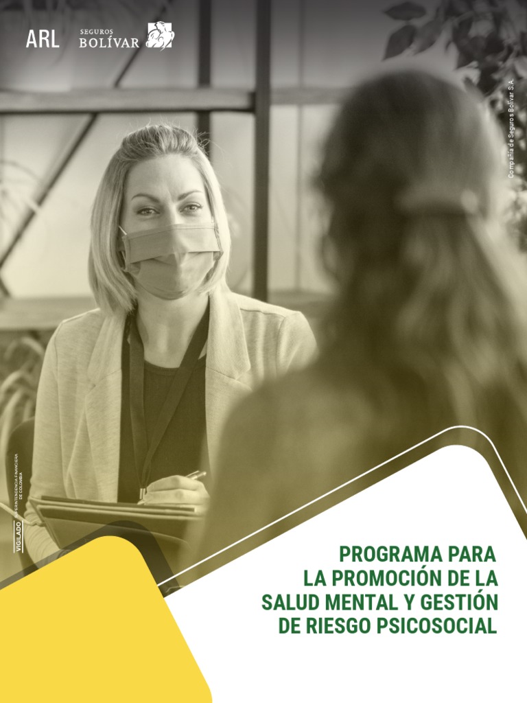 Guía Programa de Promoción de salud mental | PDF | Seguridad y salud ocupacional | Trastorno mental