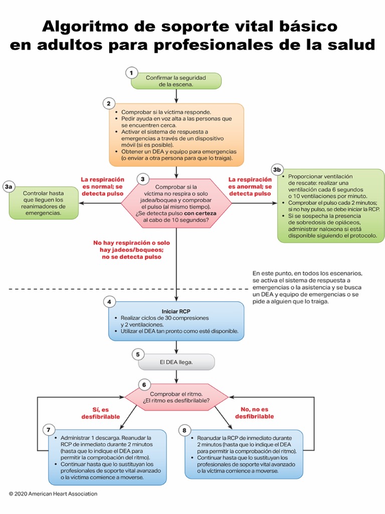 Tarjeta de Referencia SVB | PDF