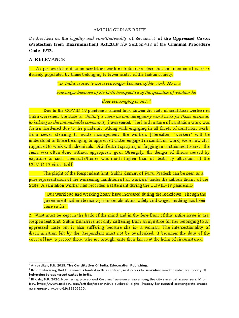 Amicus Curiae Brief | PDF | Dalit | Bail