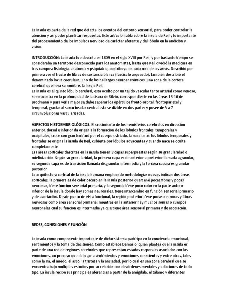 Ínsula: Función y Conexiones Cerebrales | PDF | Corteza Insular ...