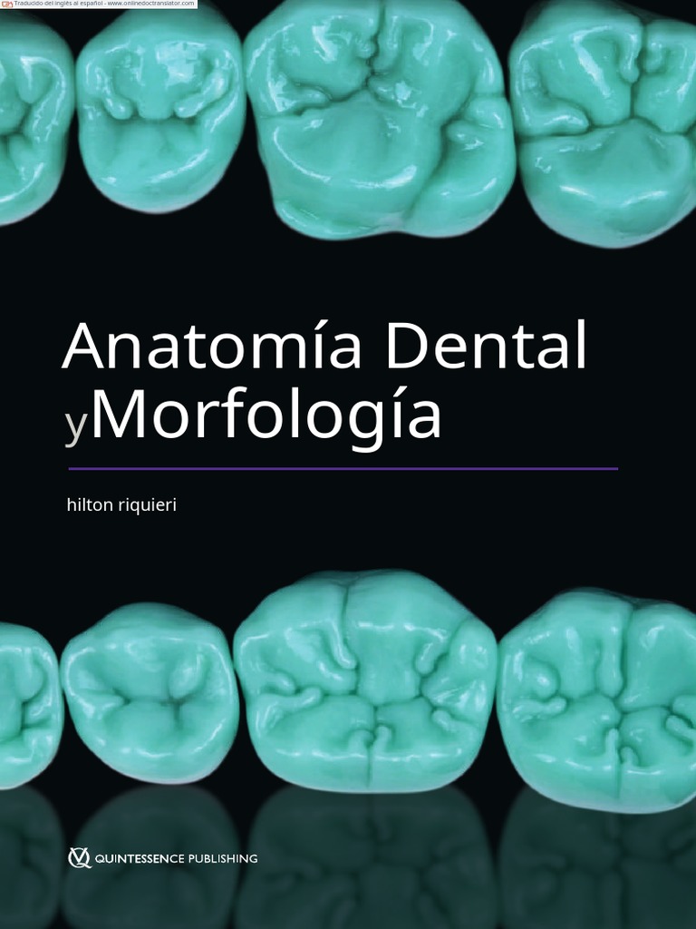 Anatomía Dental | PDF | Ramas de Odontología | Diente
