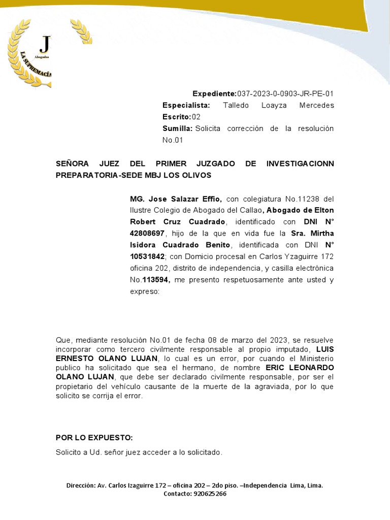 ESCRITO Solicito Correccion | PDF