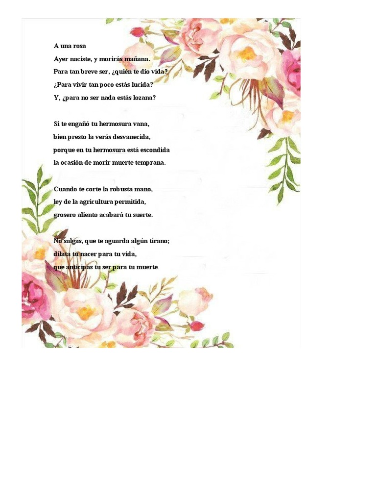 A Una Rosa Pdf