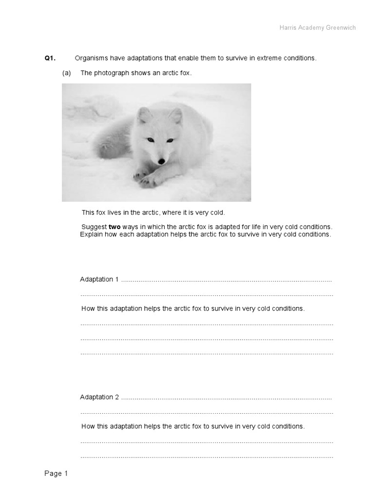 Arctic Fox and Antelope Adaptations | PDF | Fur | Fox