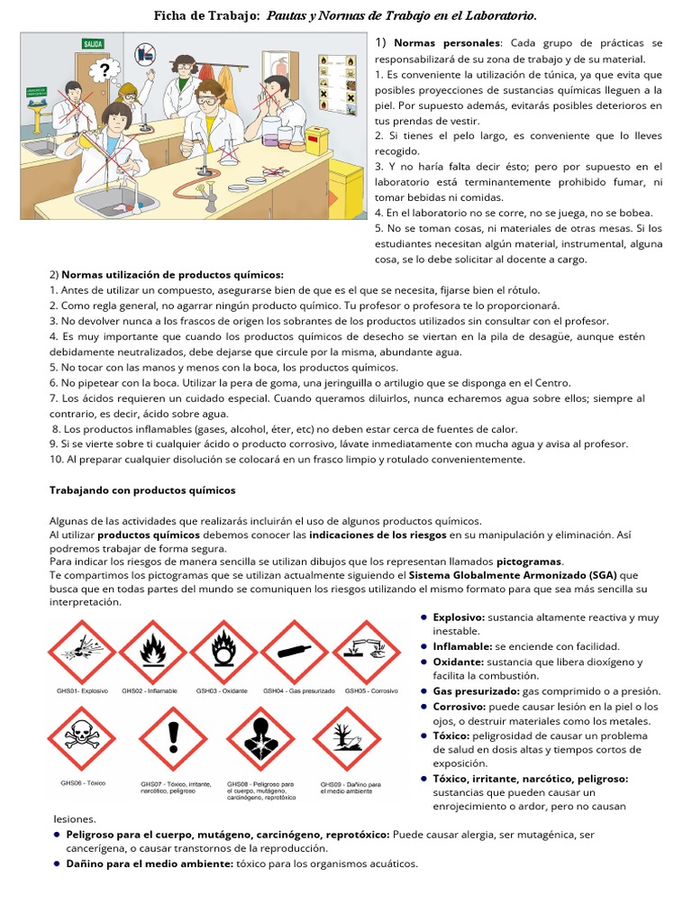 Ficha de Trabajo: Normas y Pautas de Trabajo en El Laboratorio | PDF ...