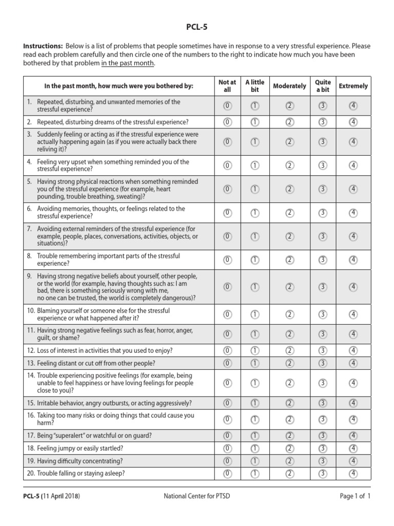 PCL5 Fillable | Download Free PDF | Experience | Anger