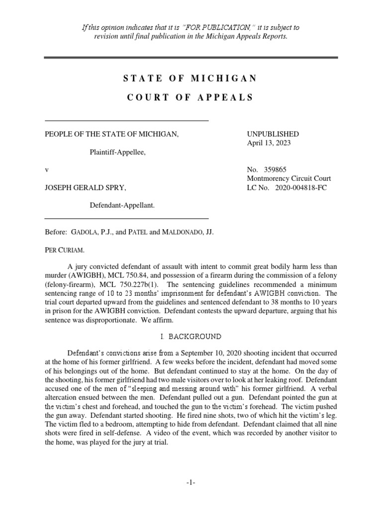 Michigan Appeals Court Upholds Sentence for Assault and Firearm ...