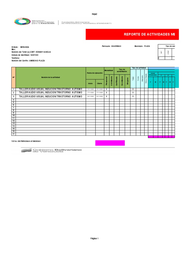 Reporte de Actividades Mensuales | PDF