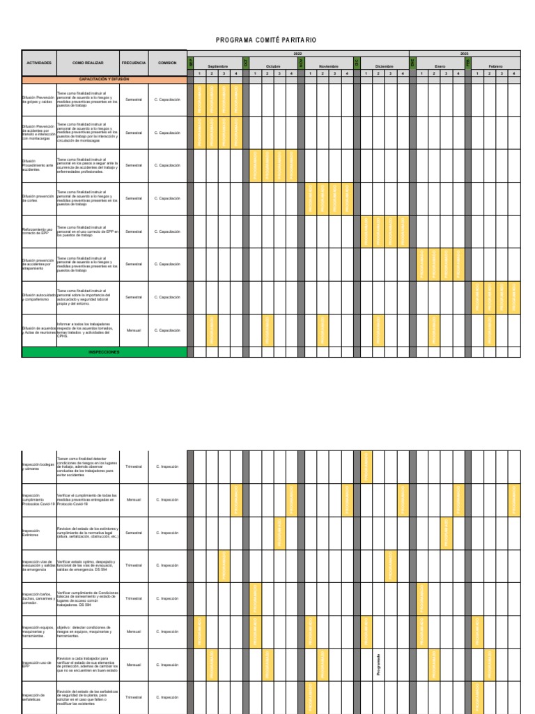 Programa Comité Paritario FINAL | PDF