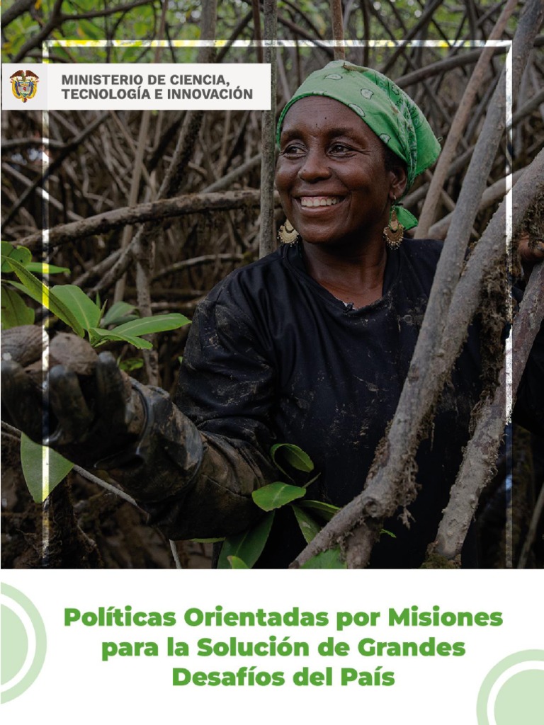 Politicas Orientadas Por Misiones | PDF