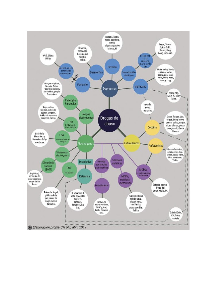 Mapa Conceptual Drogas | PDF
