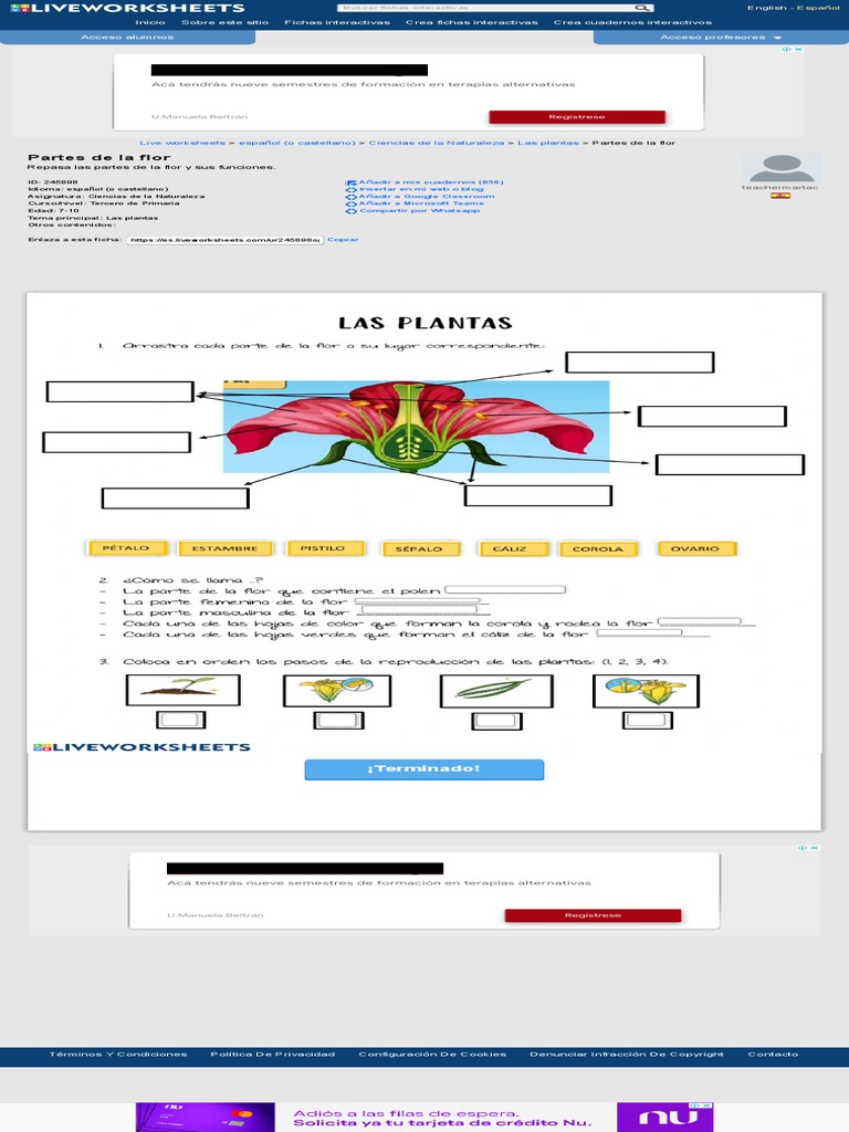 Actividad Online de Partes de La Flor | PDF