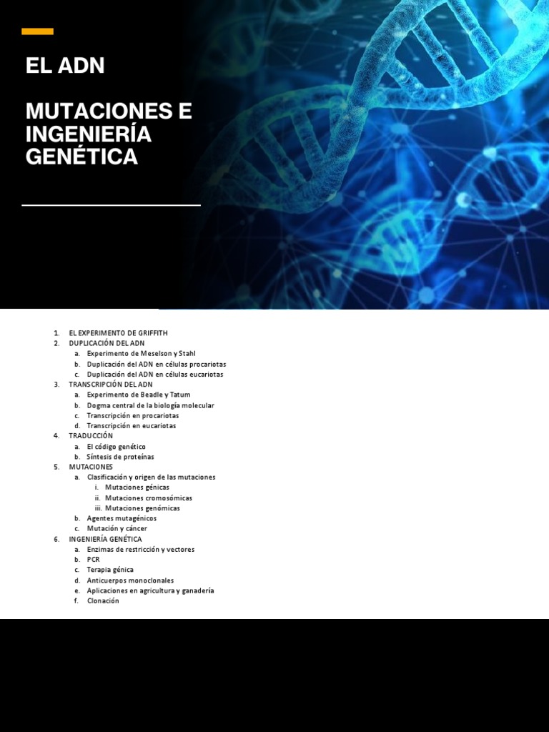 ADN: Replicación y Transcripción | PDF | Adn | Rna