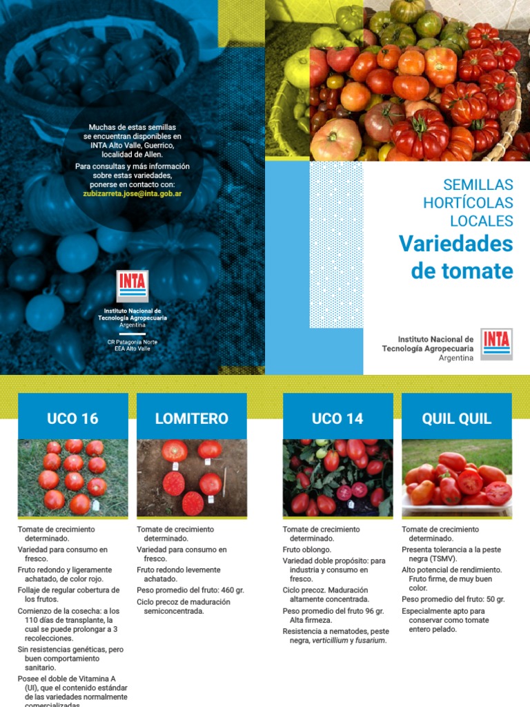 Variedades de Tomate 1 | PDF | Fruta | Agricultura