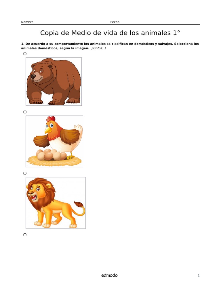 Medio de Vida de Los Animales 1° | PDF