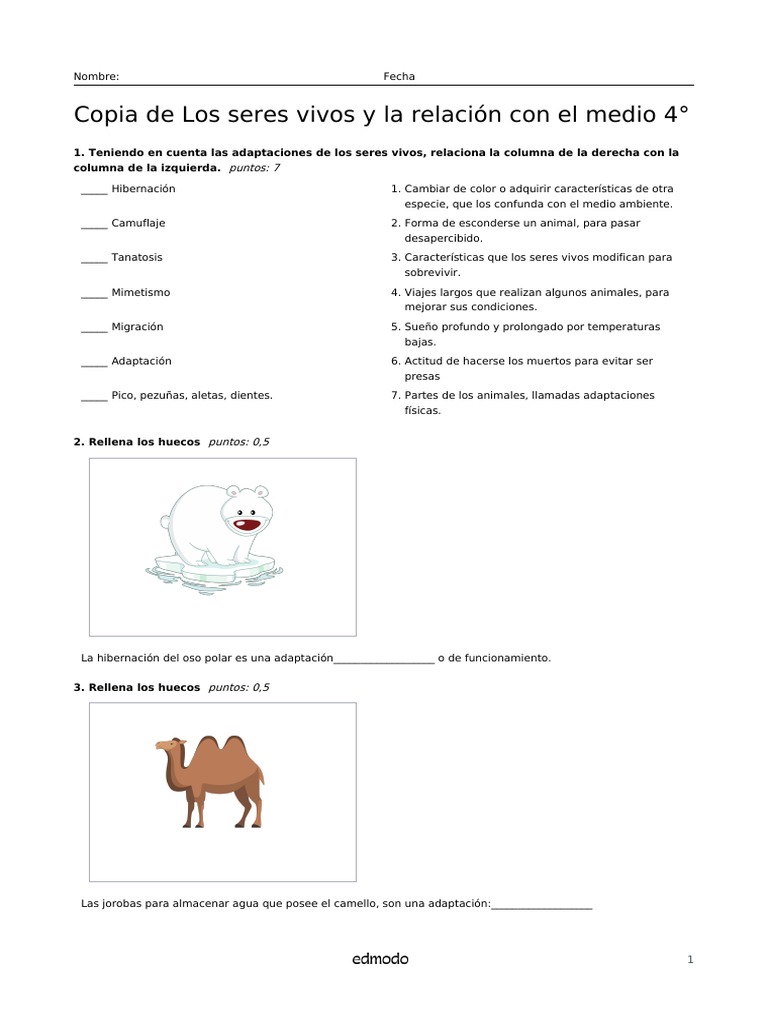 Los Seres Vivos y La Relación Con El Medio 4° | PDF | Ecosistema ...
