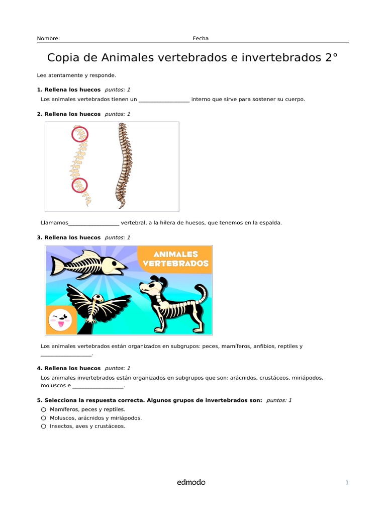 Animales Vertebrados e Invertebrados 2° | PDF | Salud y bienestar