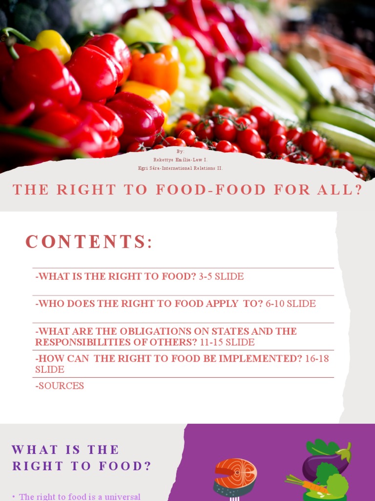Understanding the Right to Food | PDF | Social Science