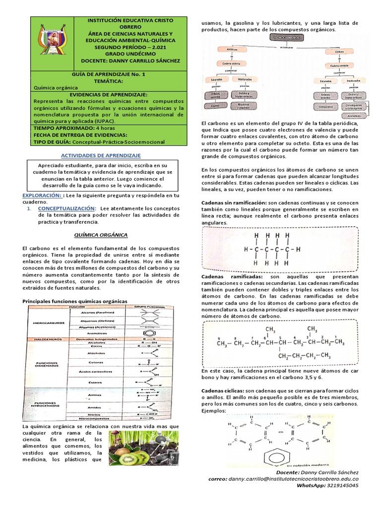 Guia 1 2P Quimica 11° | PDF | Compuestos orgánicos | Alqueno