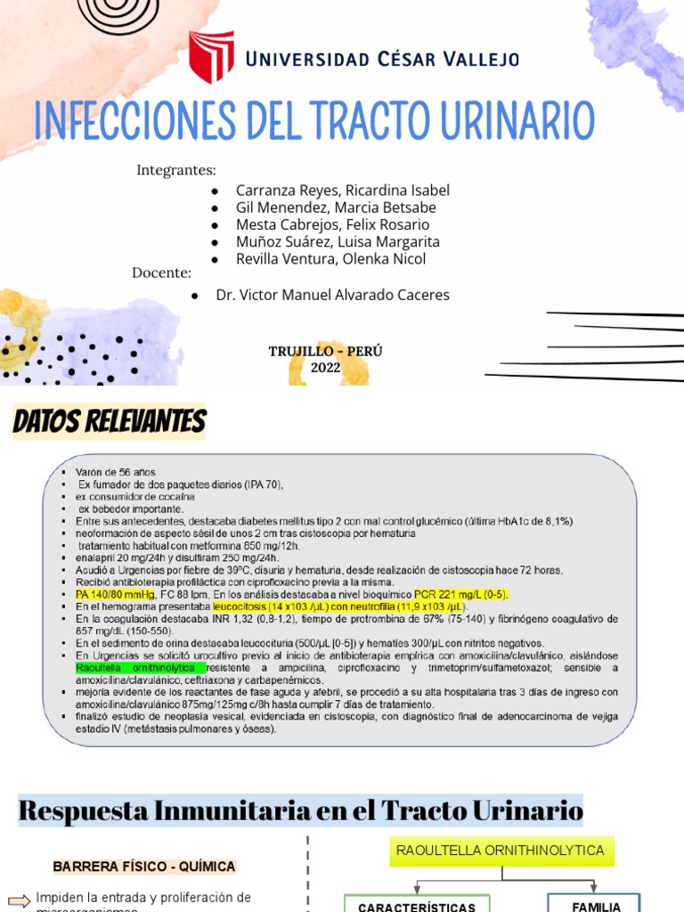 Infecciones Del Tracto Urinario | PDF | Sistema inmune | Sistema urinario