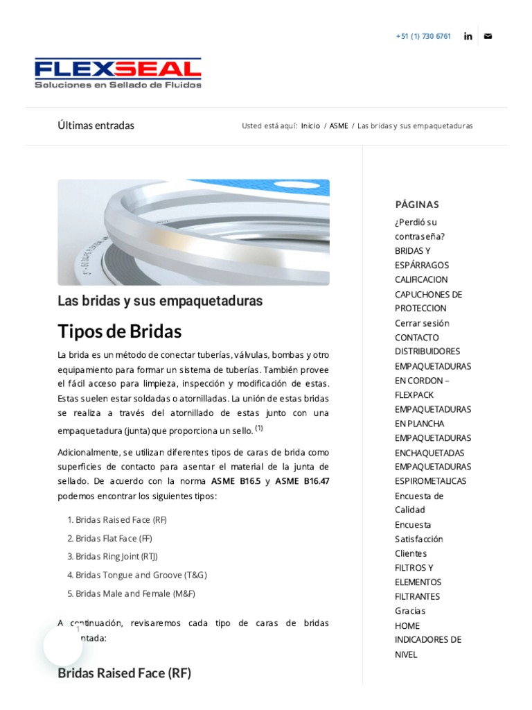 Tipos de Bridas: Las Bridas y Sus Empaquetaduras | PDF | Materiales ...