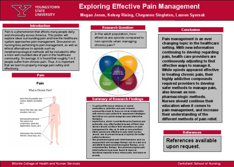 Pain Management Literature Review Poster by Megan Jones Kelsey Rising Cheyenne Singleton and ...
