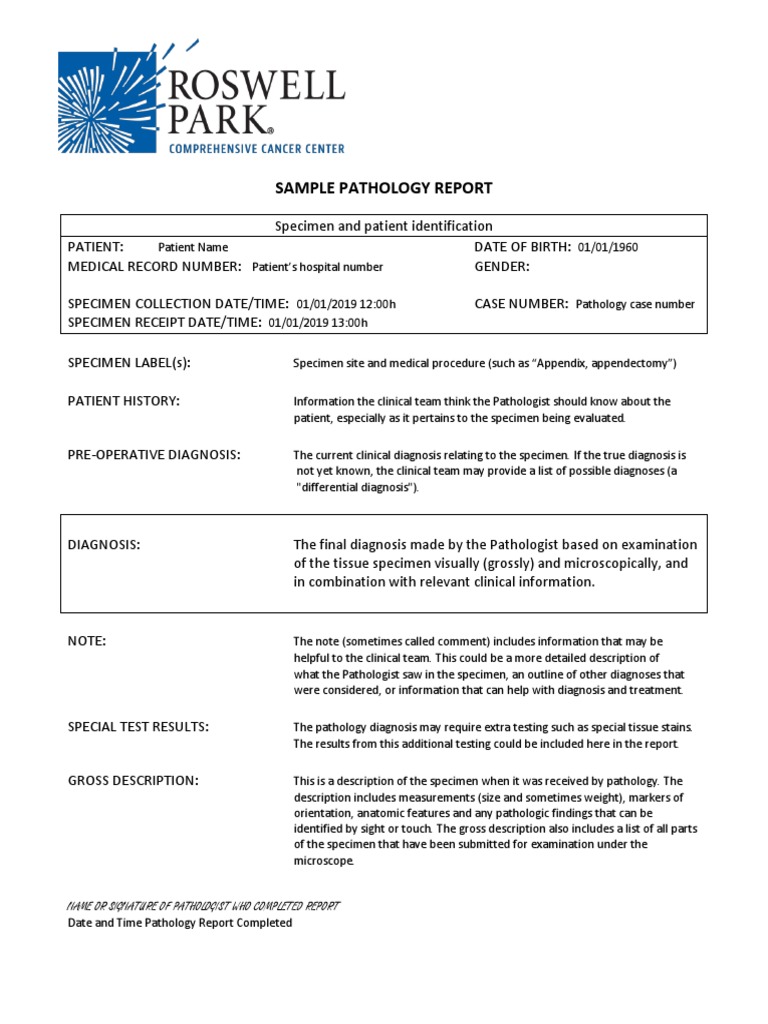 Sample Pathology Report | PDF | Pathology | Medicine