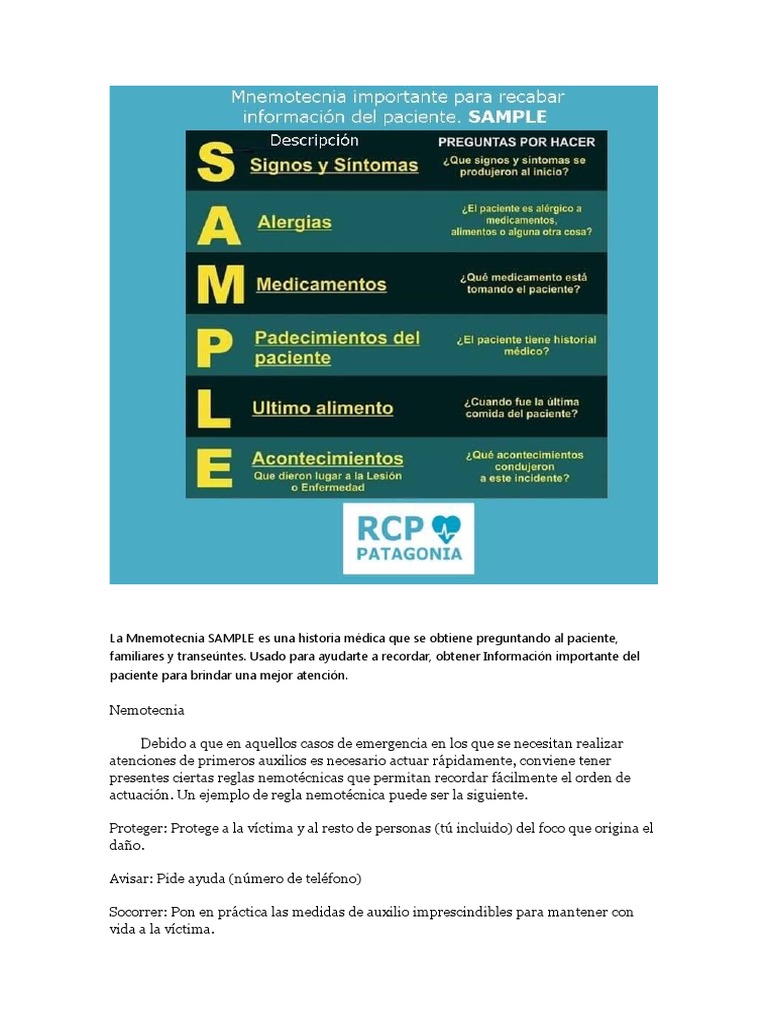 La Mnemotecnia SAMPLE | PDF | Mnemotécnico | Medicina