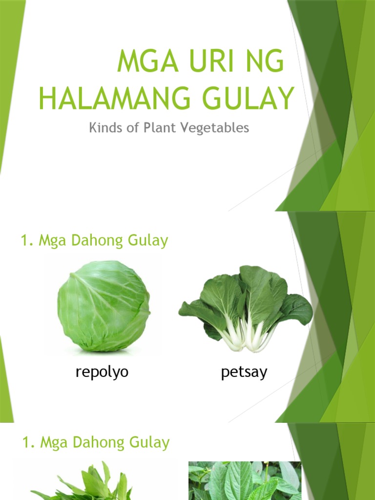 Mga Uri NG Halamang Gulay | PDF