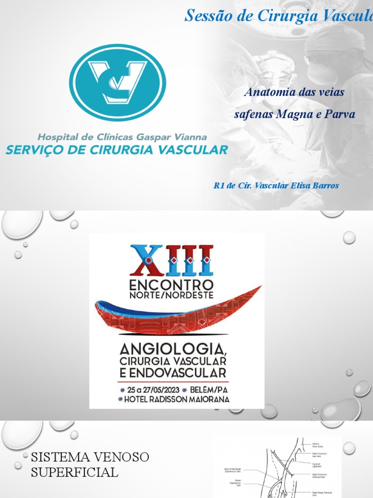 Anatomia Das Veias Safenas | PDF | Sistema cardiovascular | Angiologia