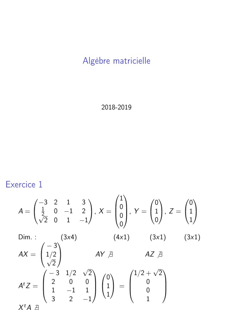 Matrices Exercices Résolus | PDF