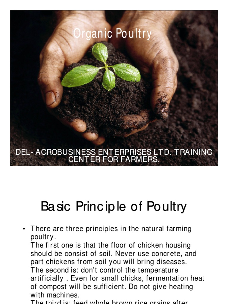 Organic Poultry | PDF | Chicken | Poultry Farming