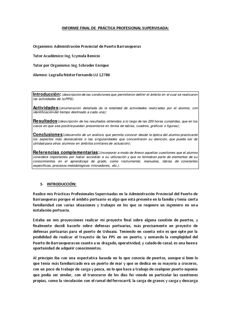 Informe Final PPS en Pto Barranqueras - Lagraña Fernando | PDF | Negocios