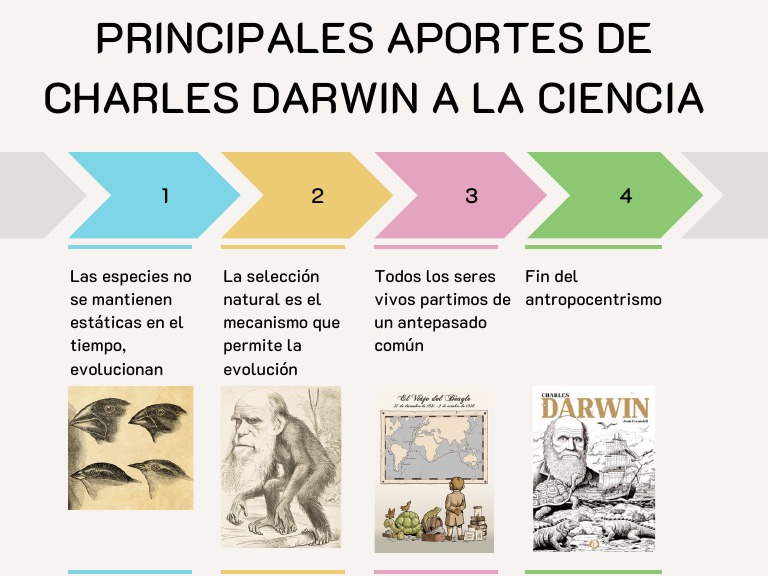 Infografía Charles Darwin | PDF