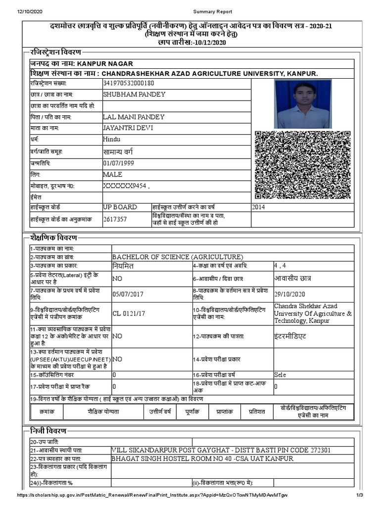 Summary Report | PDF