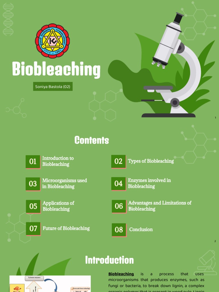 Biobleaching | PDF | Pulp (Paper) | Lignin
