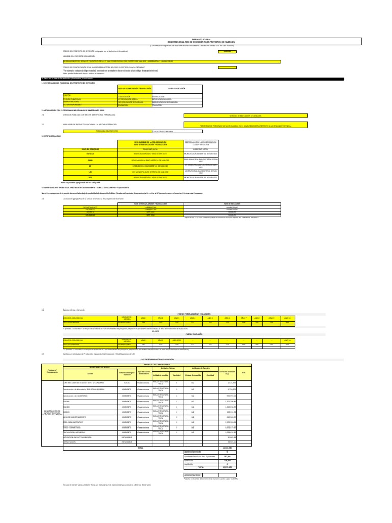 Formato #08-A: Registros en La Fase de Ejecución para Proyectos de Inversión | PDF ...