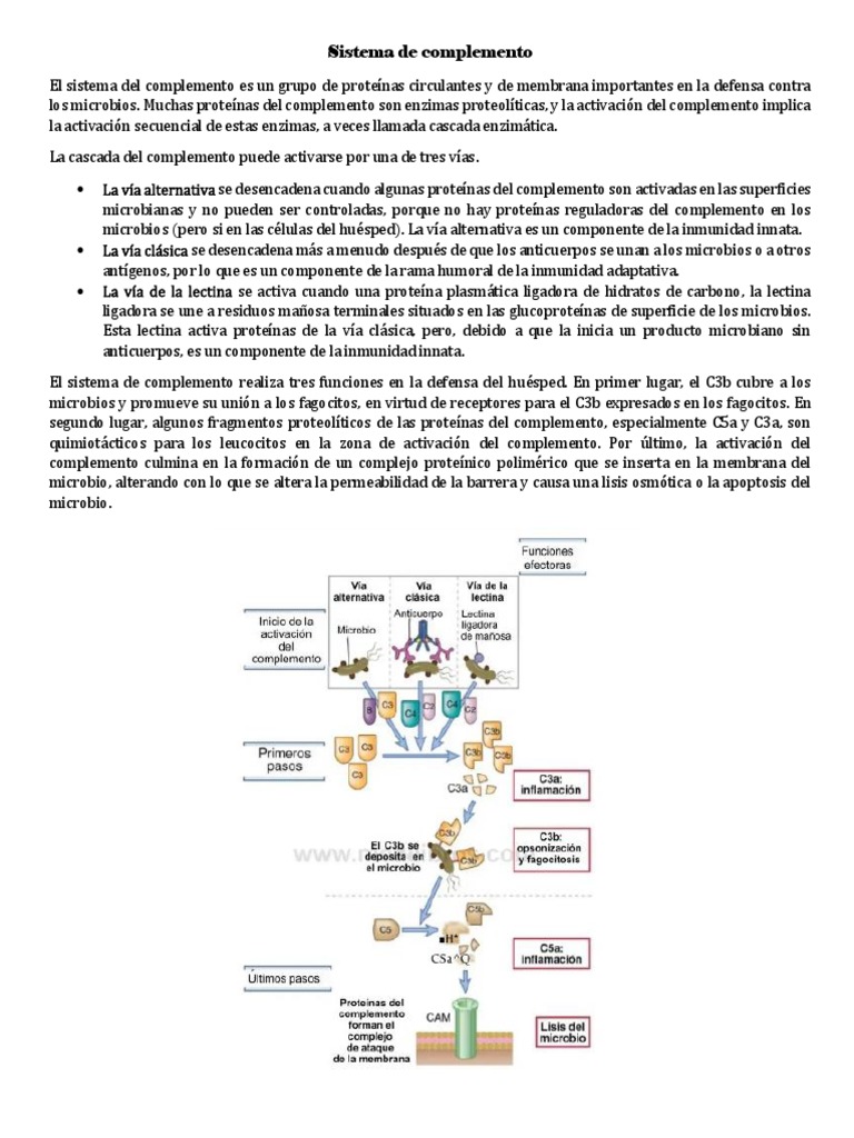 Sistema de Complemento | PDF