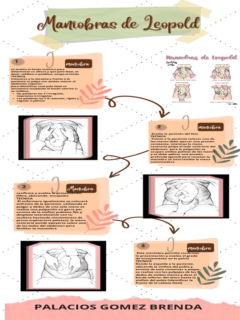 Maniobras de Leopold | PDF | Anatomía | Sistema musculoesquelético