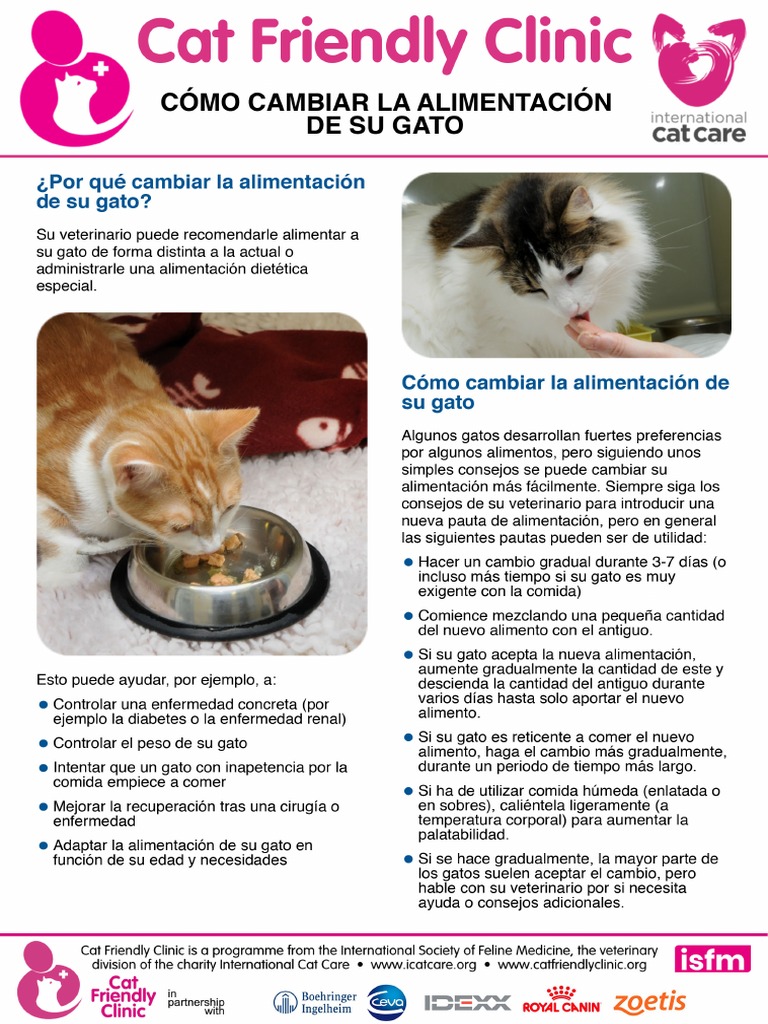 Cat Friendly Folletos | PDF