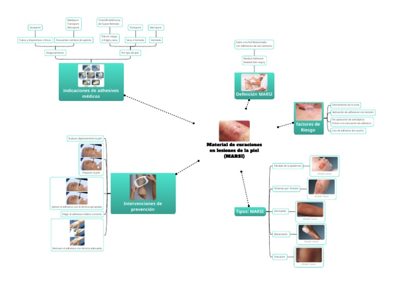 MARSI Mapa | PDF | Especialidades Medicas | Medicina CLINICA
