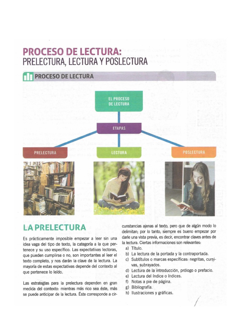 Etapas Del Proceso de Lectura | PDF