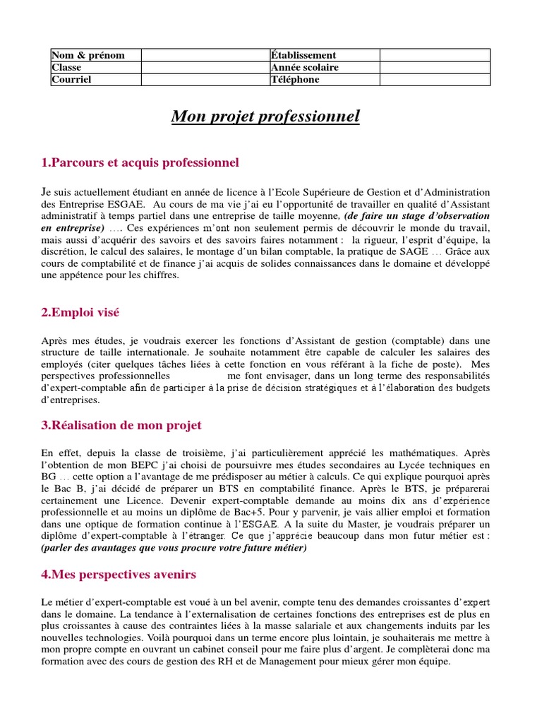 Mon Projet Professionnel | PDF | Business | Comptabilité