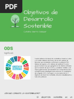 LINEA DEL TIEMPO ODS SS | PDF | Desarrollo sostenible | Sustentabilidad