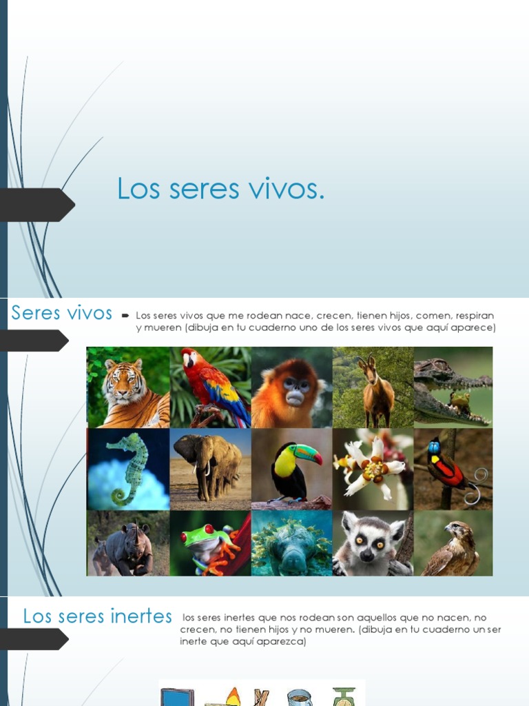 Los Seres Vivos e Inertes | PDF