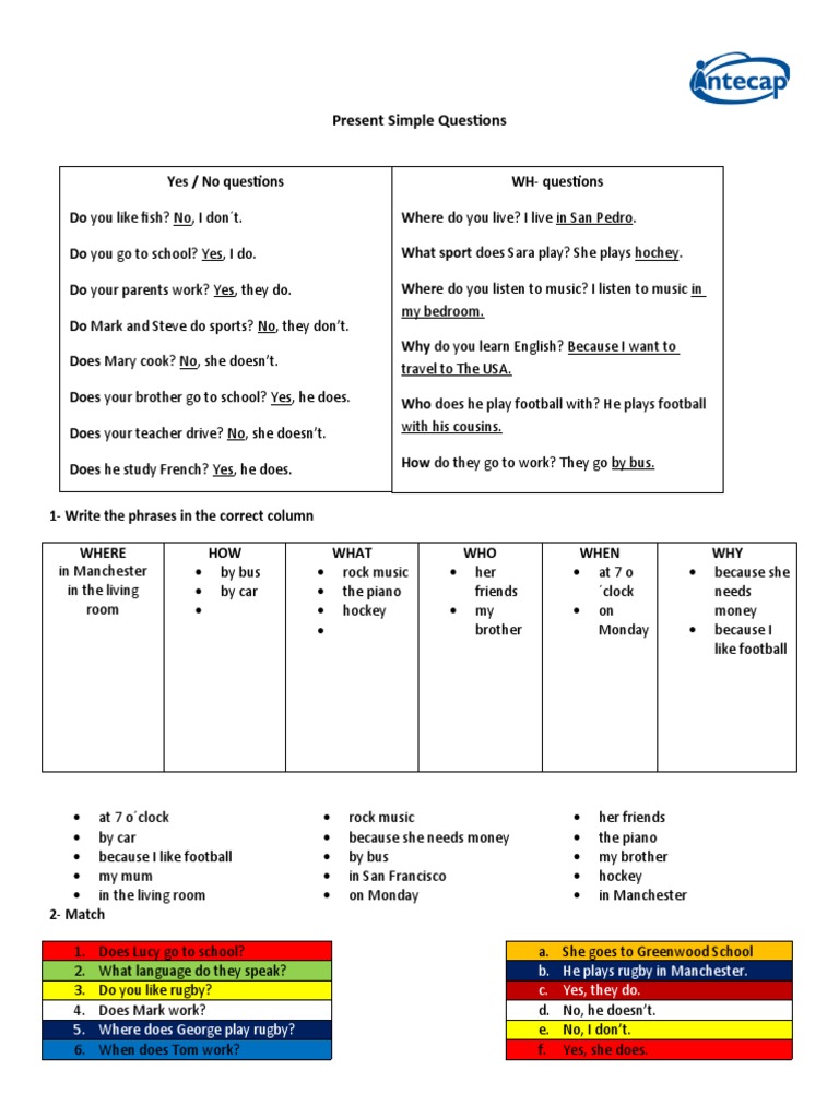 Present Simple Questions | PDF