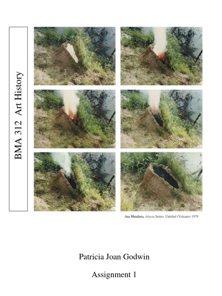 Performance Art | PDF | Rituals | Modernism