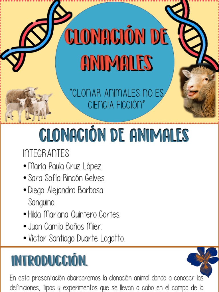 CLONAR ANIMALES NO ES CIENCIA FICCIÓN Ind | PDF | Clonación | Biología