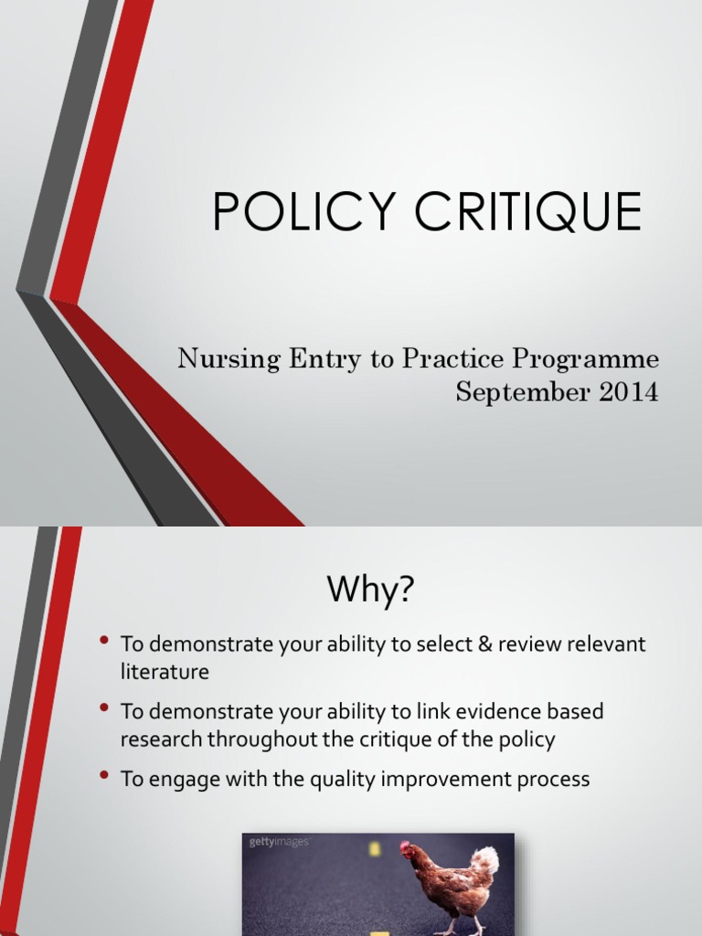 Policy Critique PP Day 5 - Rebecca W | PDF